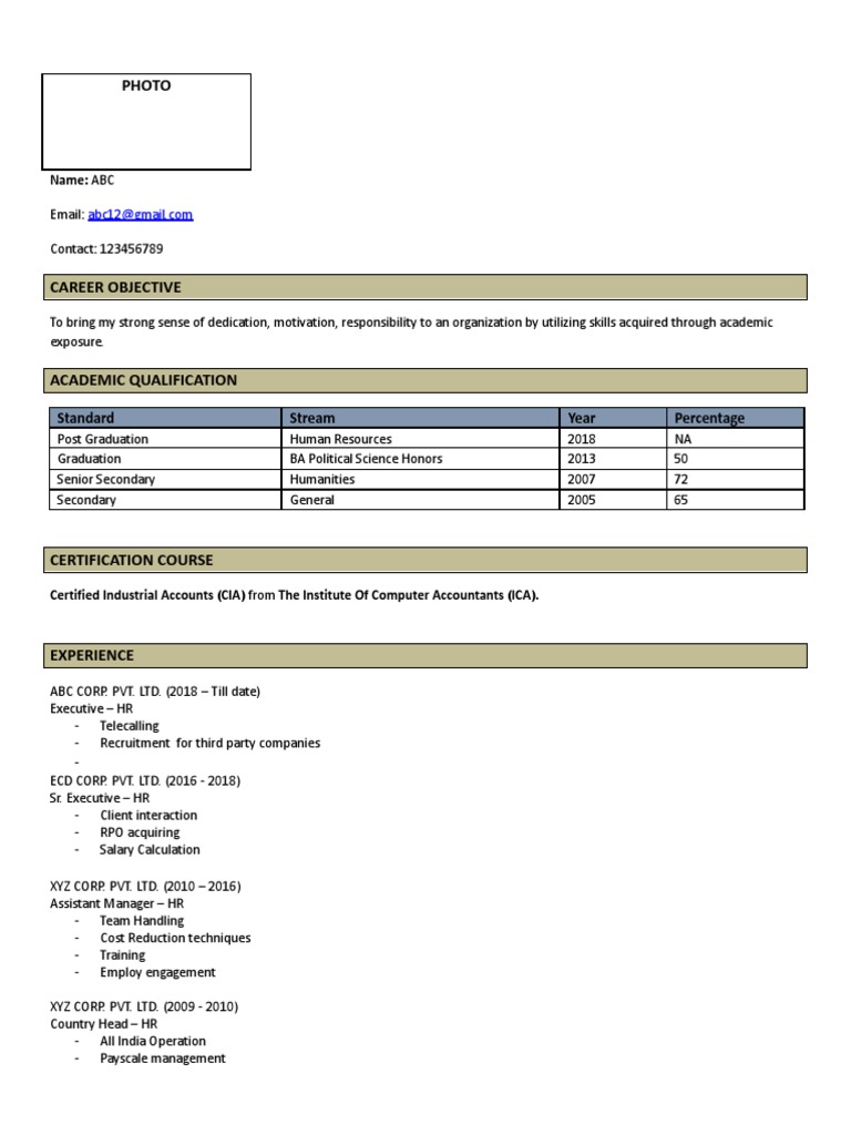 ICA - CV Format | PDF