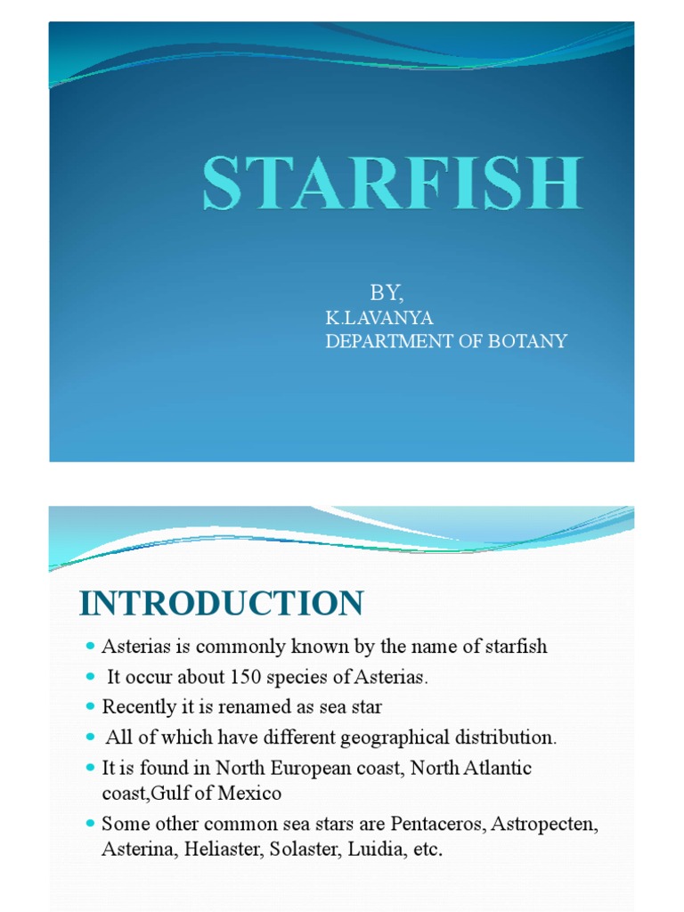 Starfish: Classification and Characteristics | PDF
