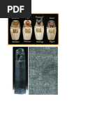 Kurzgesagt - in A Nutshell Map of Evolution Poster by Kurzgesagt | PDF