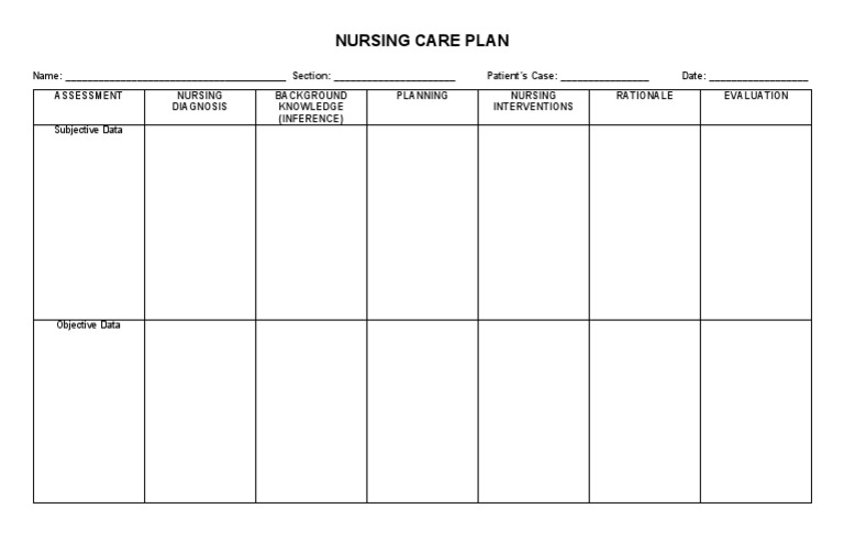 Nursing Care Plan Template | PDF