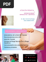 Formula Obstetrica | PDF