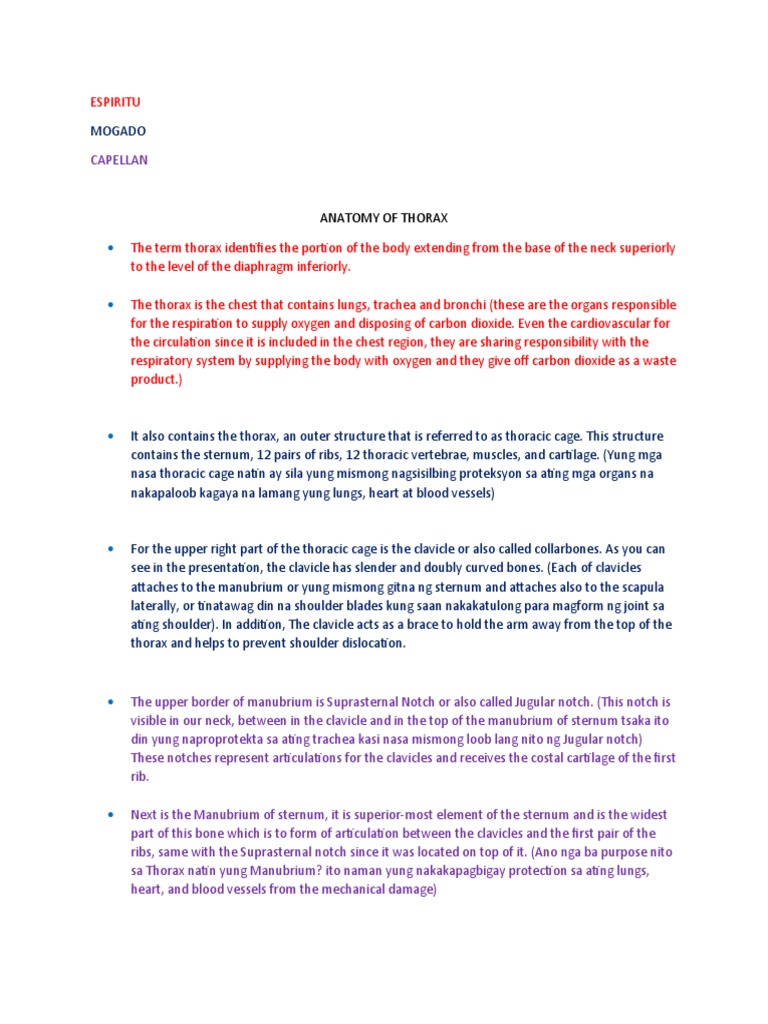 Thorax Script | PDF | Thorax | Thorax (Human Anatomy)