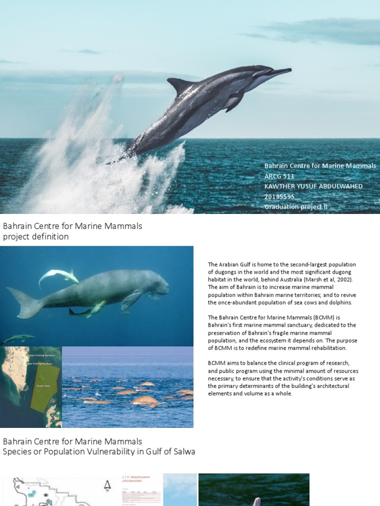 NOHA | PDF | Marine Mammals | Water