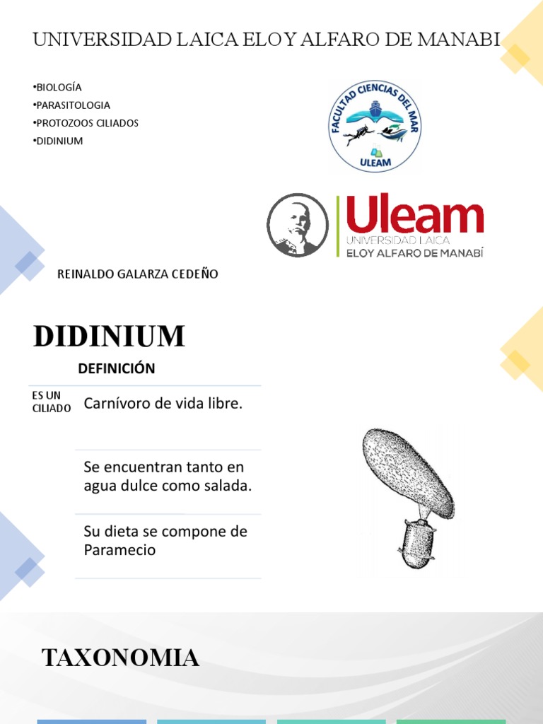 Didinium - PPT - Reinaldo G | PDF