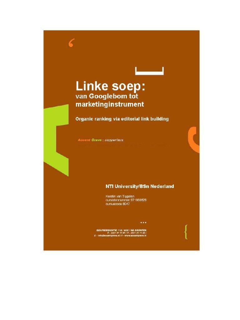 Scriptie SEO | PDF