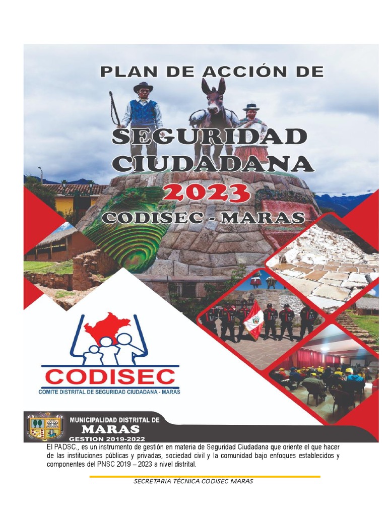 Plan de Accion 2023 Codisec (3) (1) | PDF | La violencia contra las mujeres | Valores