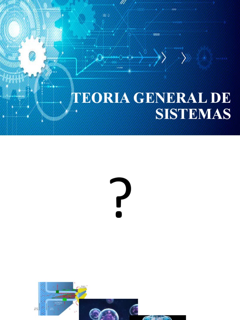 2 Teoria General de Sistemas | PDF