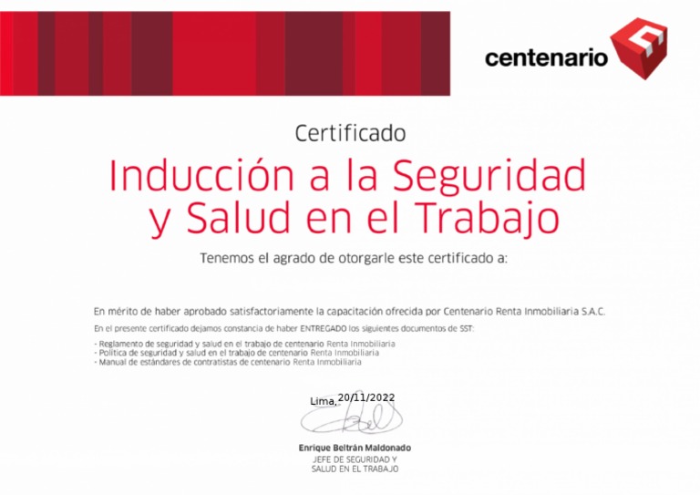 Certificado Induccion SST-4 | PDF