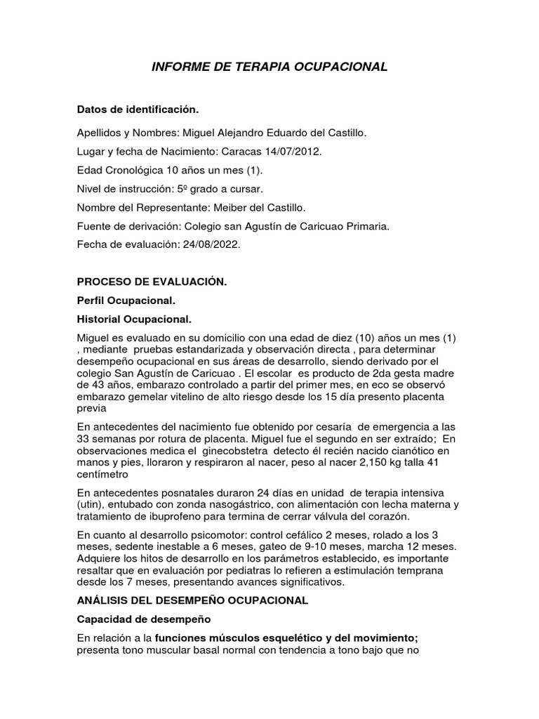 Informe de Terapia Ocupacional de Miguel Eduardo | PDF | El embarazo ...