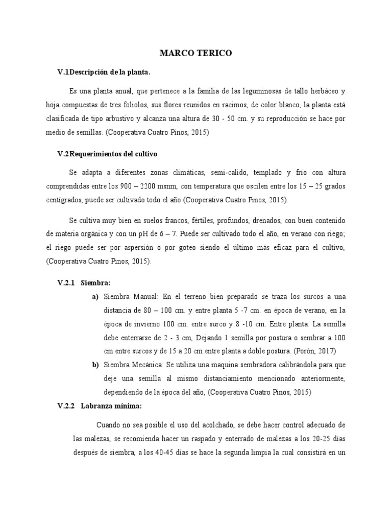 Cultivo del Ejote Francés Sapporo | PDF | Siembra | Horticultura