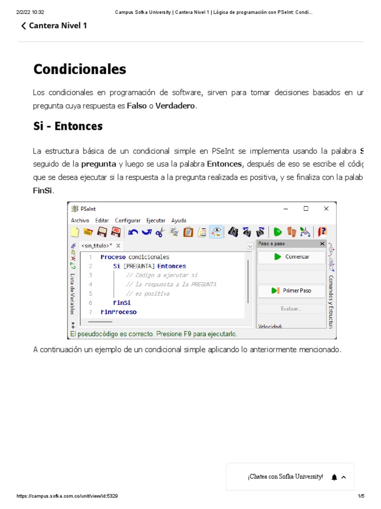 Condicionales Simples en PSeInt | PDF | Programación de computadoras ...