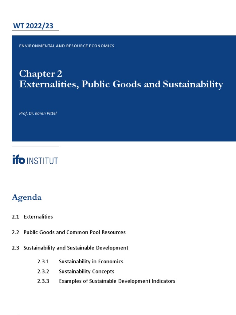 Externalities & Public Goods in Economics | PDF | Externality ...