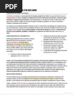 Crema Macril - para Qué Sirve, Composición y Contraindicaciones | PDF ...