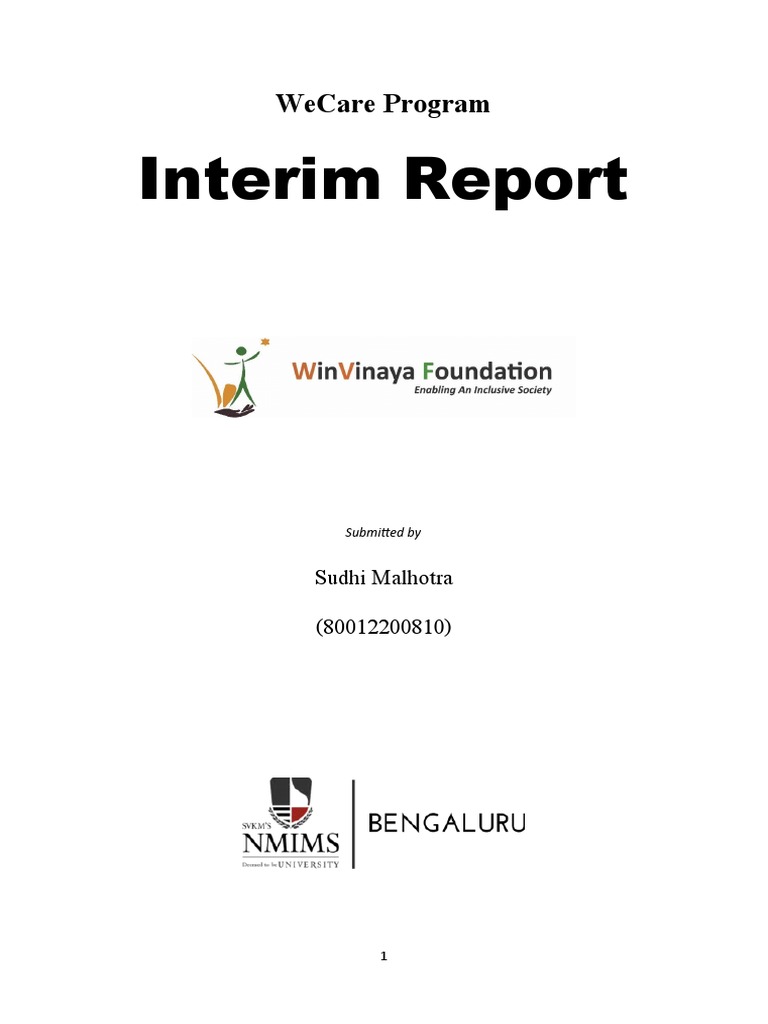 Interim Report | PDF | Social Media | Popular Culture & Media Studies