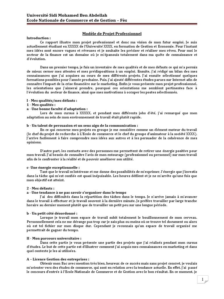 Projet Professionnel en Marketing | PDF | Commercialisation | Business