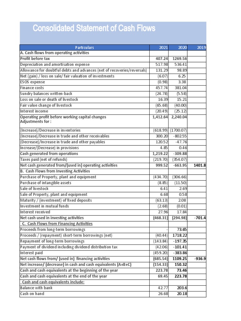 Cash Flow Analysis | PDF | Investing | Expense