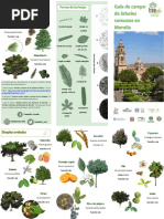 Flora y árboles de Tabasco | PDF | Arboles | Botánica