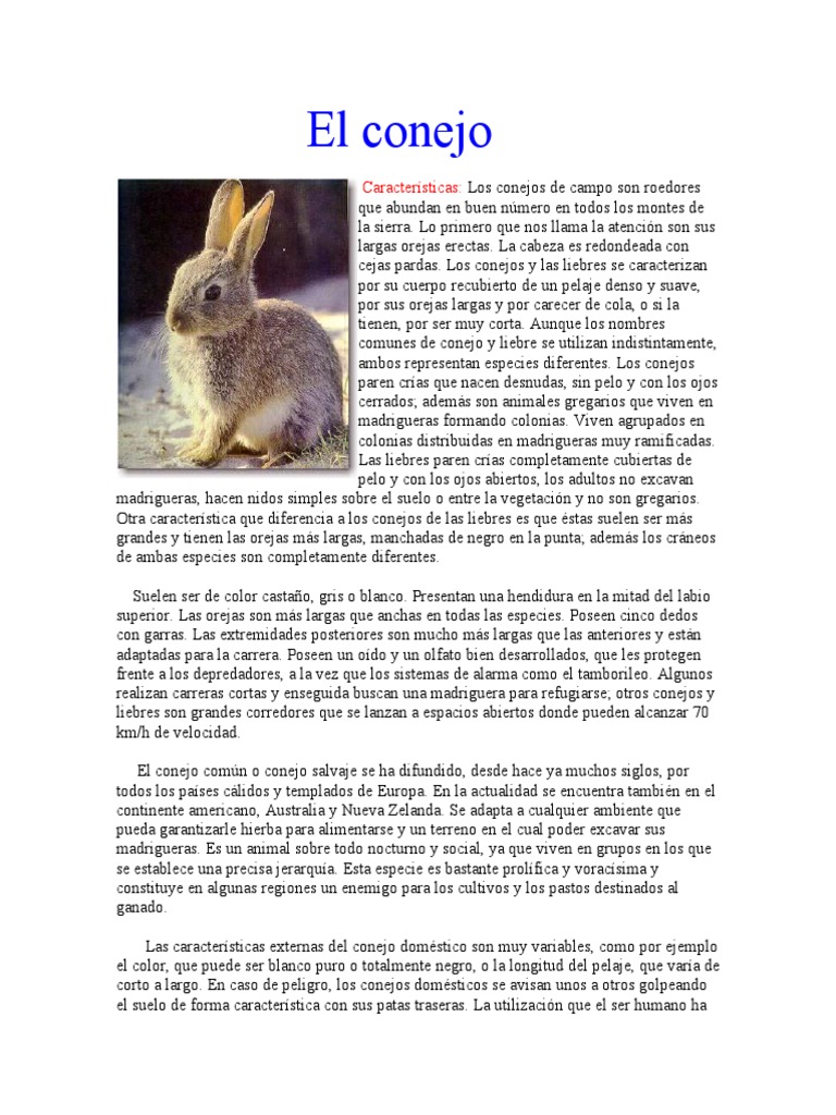 Investigación de Conejos | PDF | Organismos