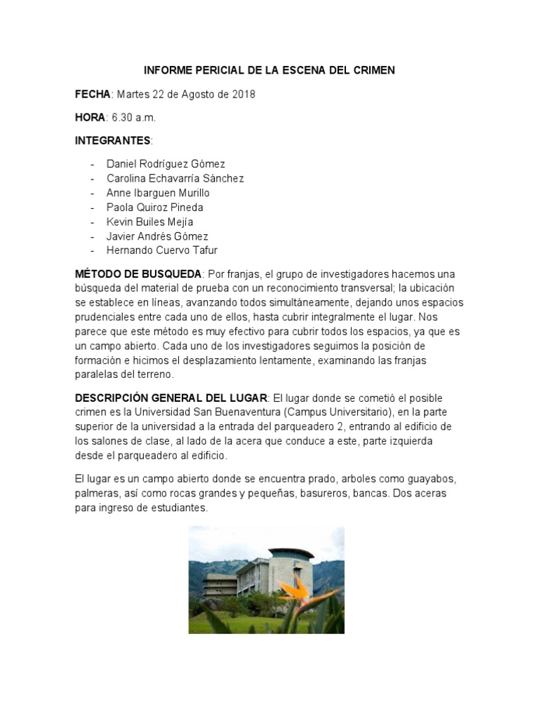 Informe Pericial de La Escena Del Crimen | PDF