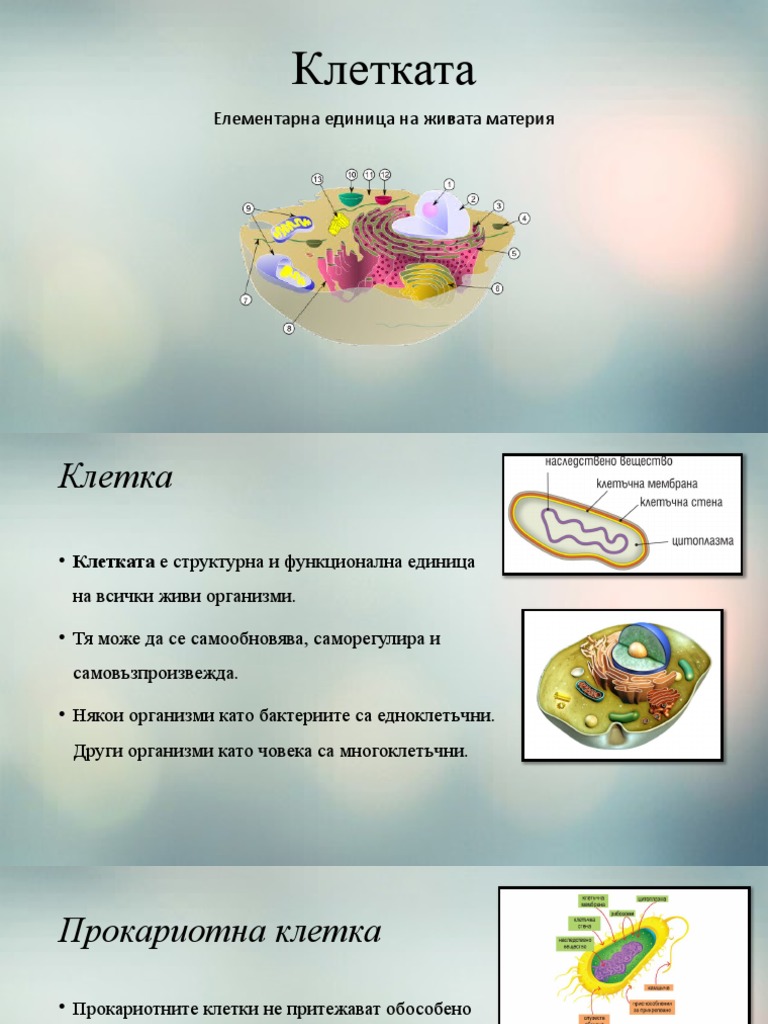 Kletkata - Elementarna Edinitsa Na Zhivata Materiya | PDF