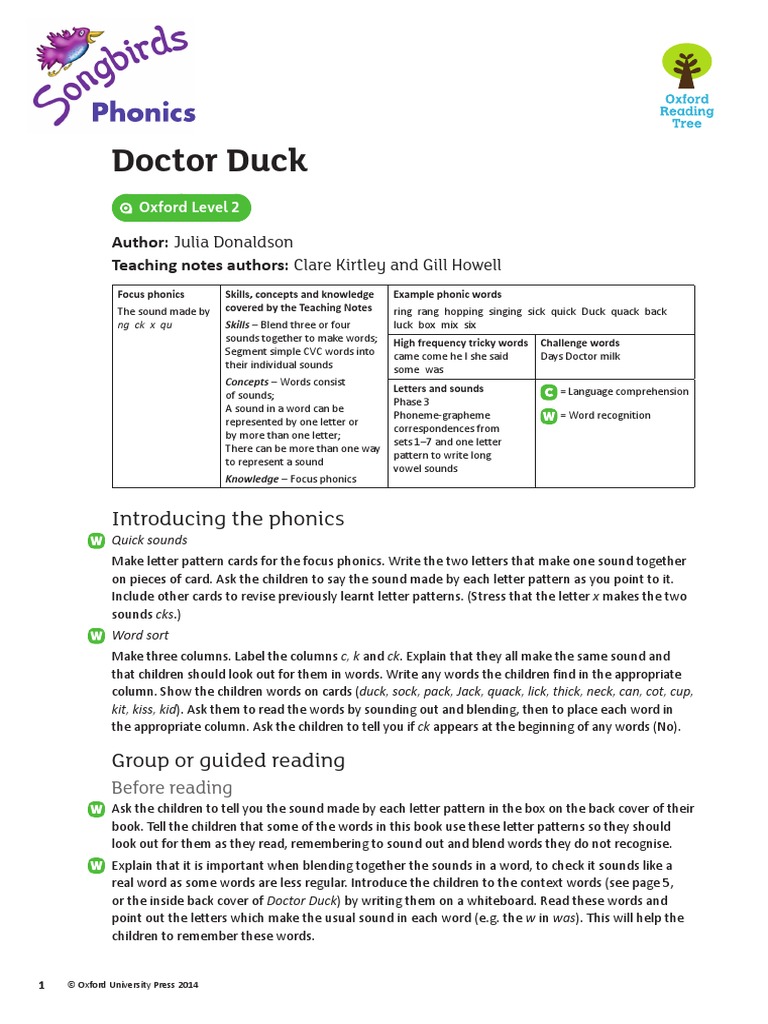 Doctor Duck Teachers Notes | PDF | Phonics | Word