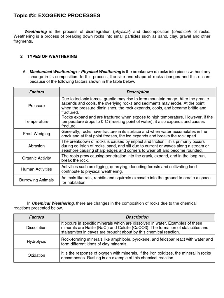 Exogenic Processes (Grade 11) | PDF | Weathering | Minerals