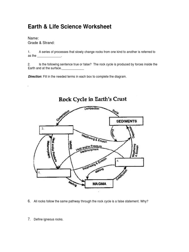 ELS Worksheet (Grade 11) | PDF | Rock (Geology) | Sedimentary Rock