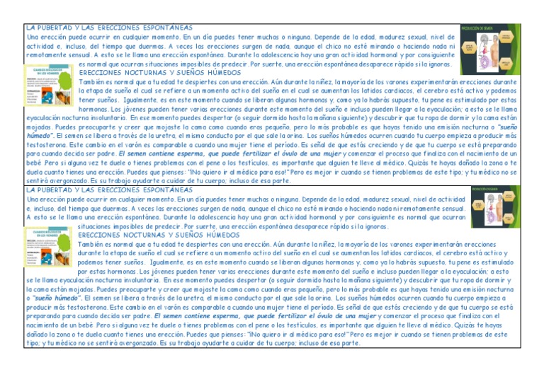 Poluciones Nocturnas | PDF | Pubertad | Dormir
