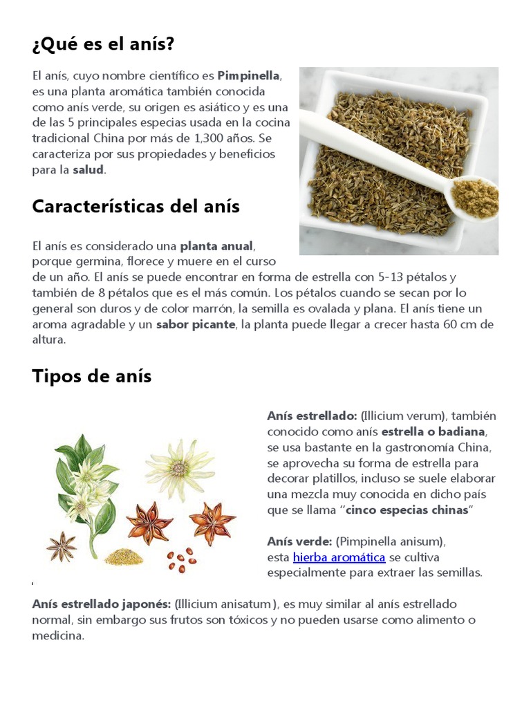 ANIS | PDF | Alimentos