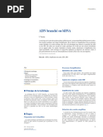 Notice d'utilisation de Xydol Gyn 100 mg | PDF | Maladies et troubles ...