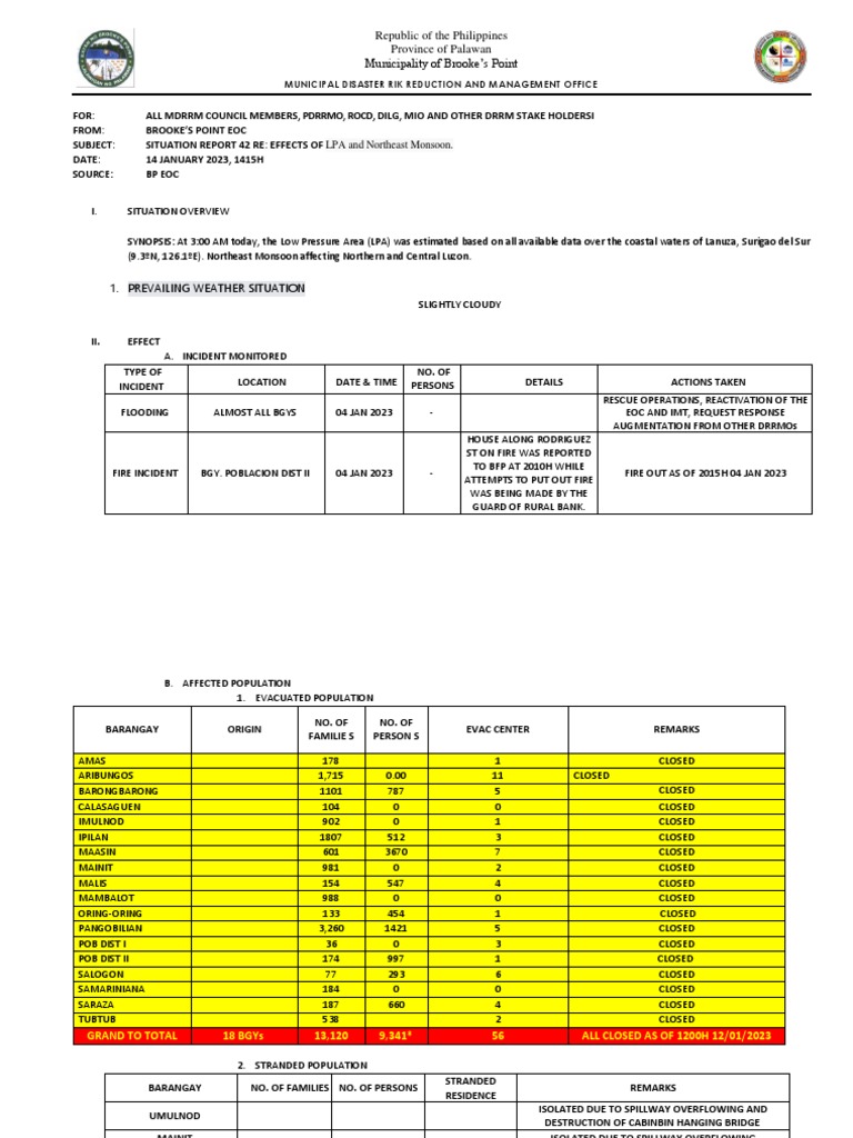 SitRep 42 BROOKES POINT | PDF