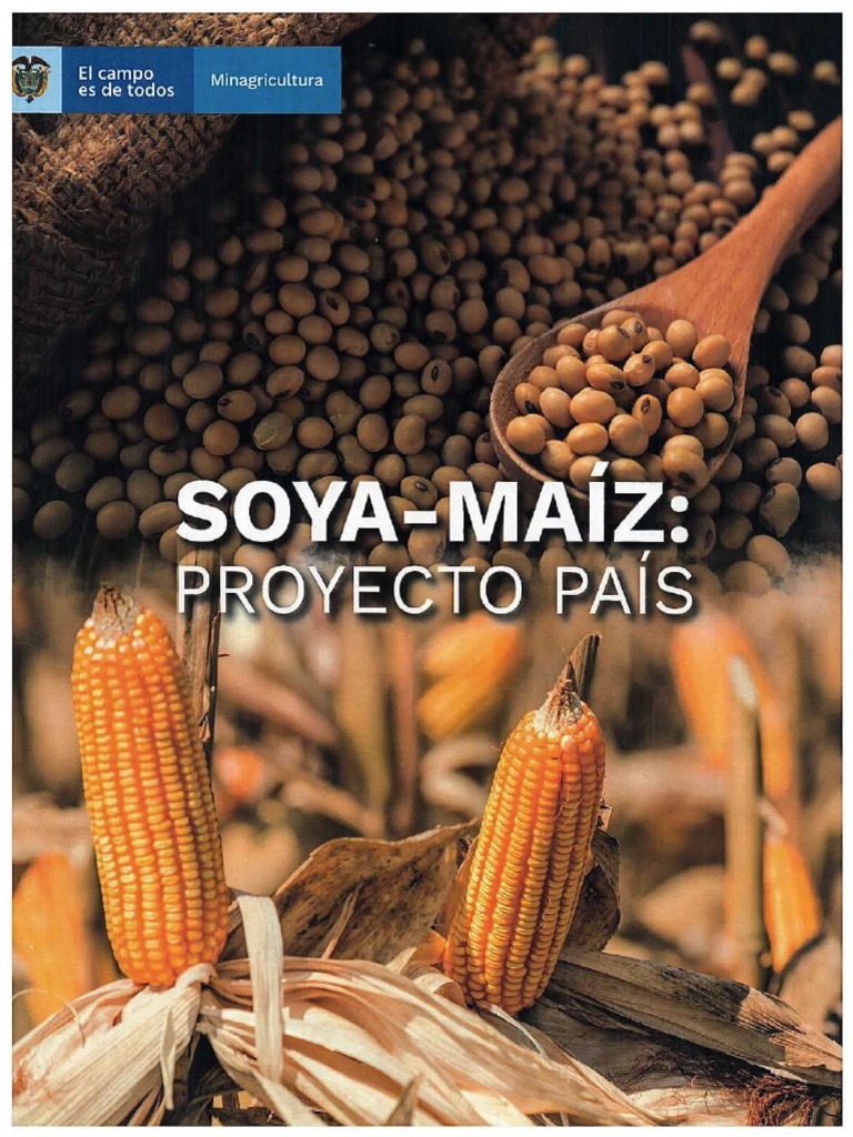 Soya Maiz Proyecto Pais - 2021 - Compressed | PDF