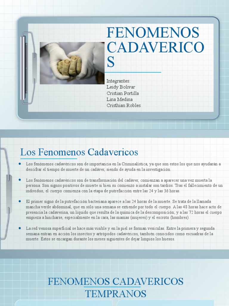 Fenomenos Cadavericos | PDF | Descomposición | Medicina CLINICA