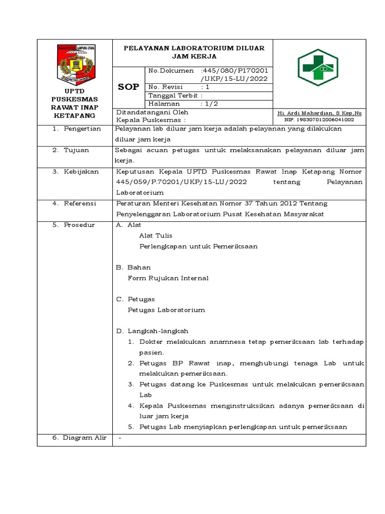 Contoh Hasil Cek Lab Ibu Hamil | PDF