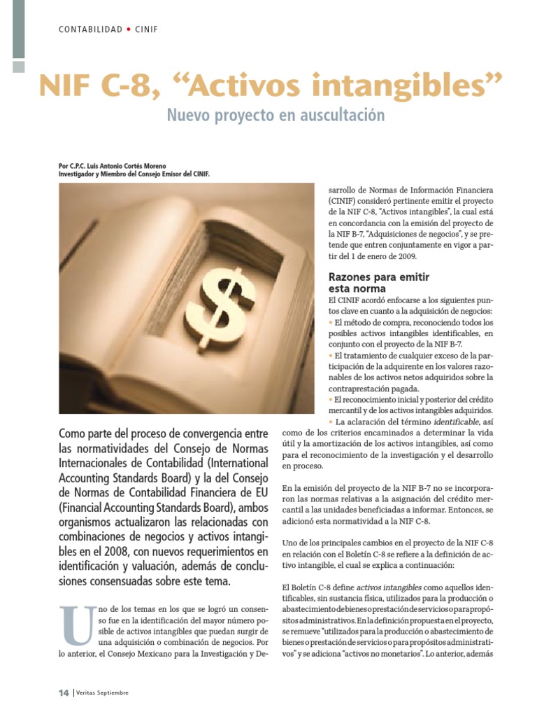Nifc 8 | PDF | Activo intangible | Economía Financiera