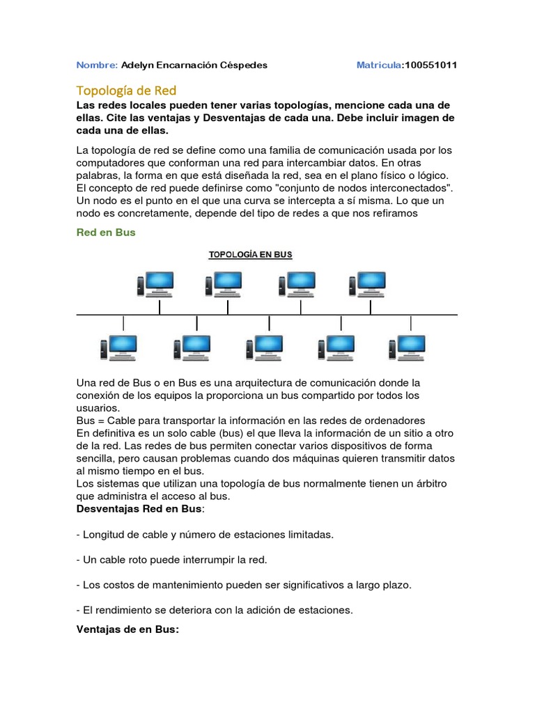 Topología de Red | PDF | Topología de la red | Red de computadoras
