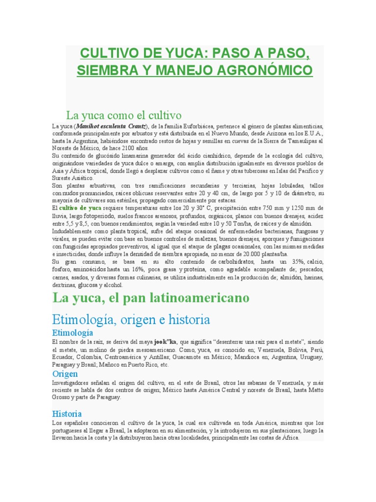 Cultivo de Yuca | PDF | Agricultura