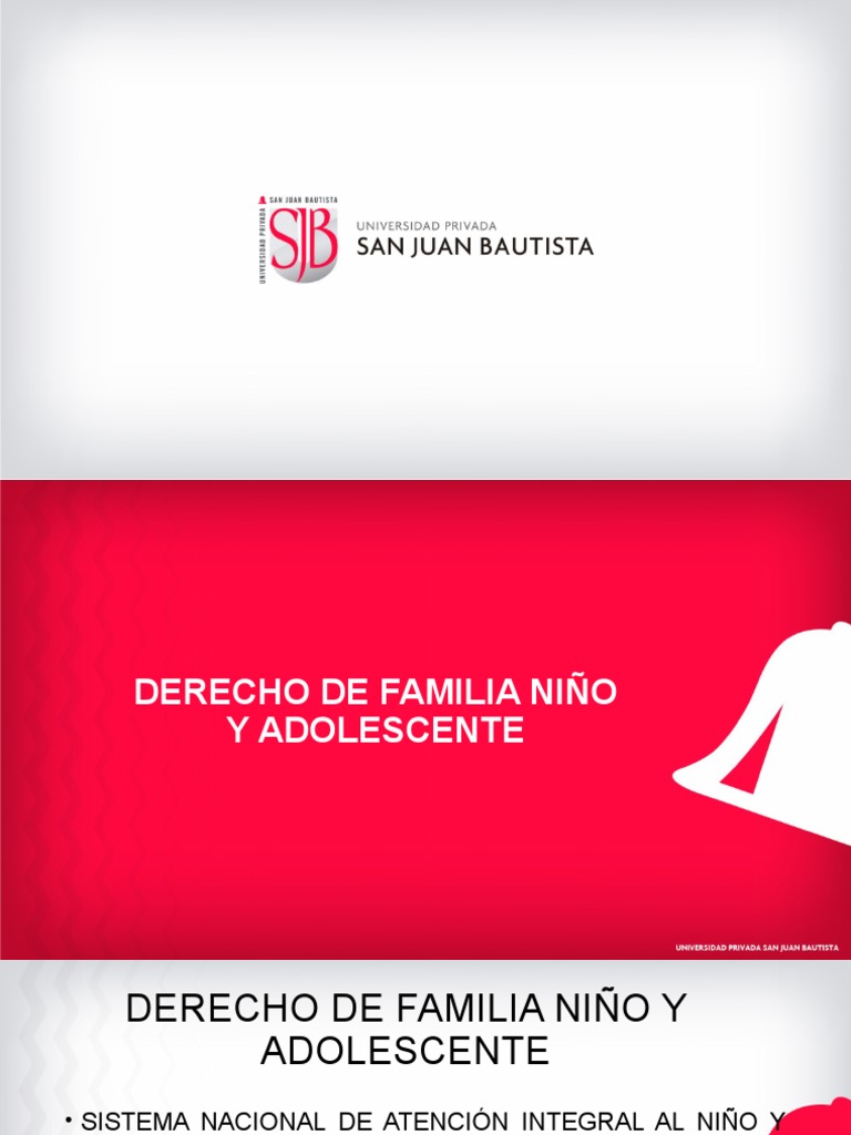 12 Diapositivas Derecho de Familia Niño y Adolescente 2021 I Nelly ...