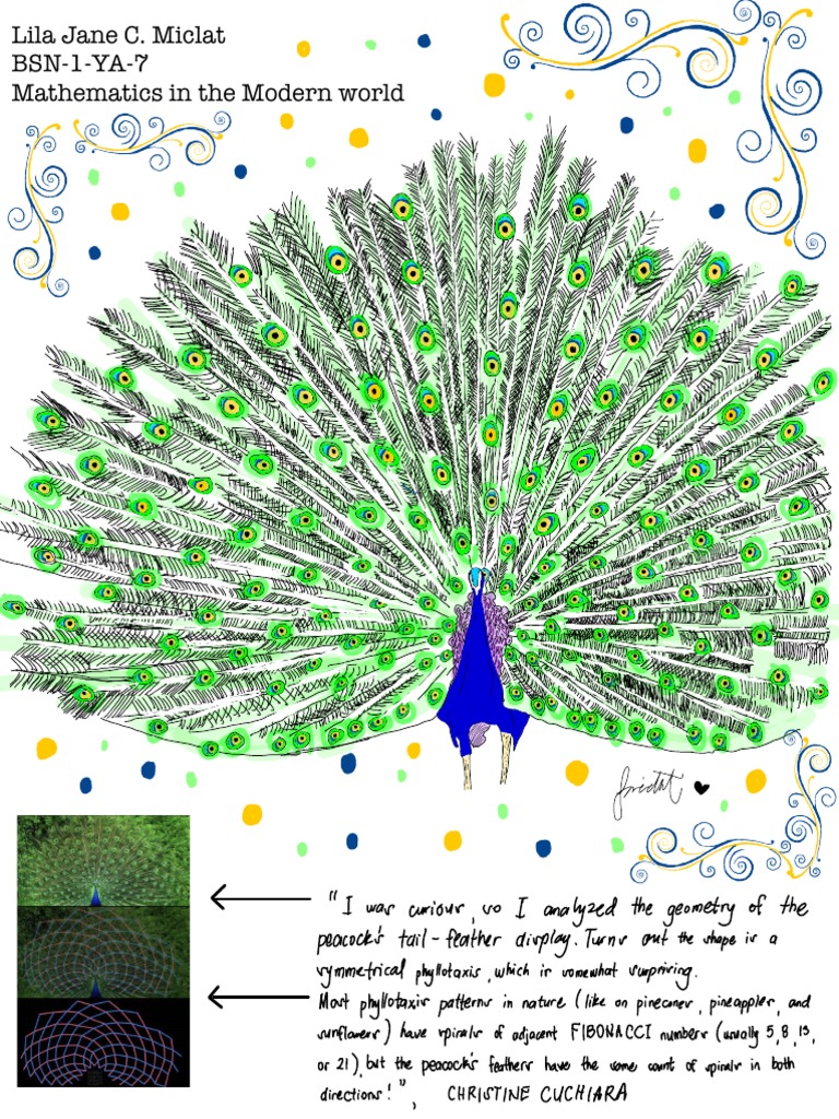 Act. 2 - Patterns | PDF | Plants | Branches Of Botany