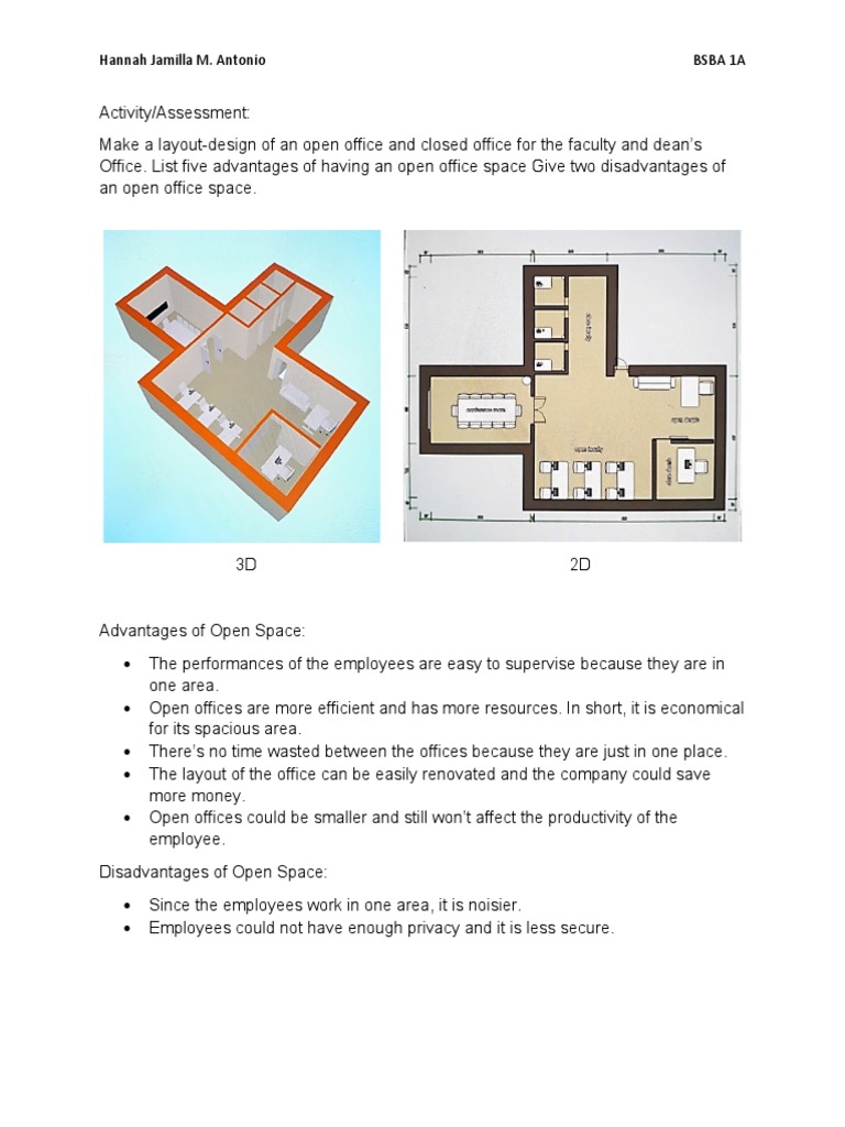 Antonio, Hannah Jamilla - BSBA 1A - Lesson 2 Unit 1 | PDF