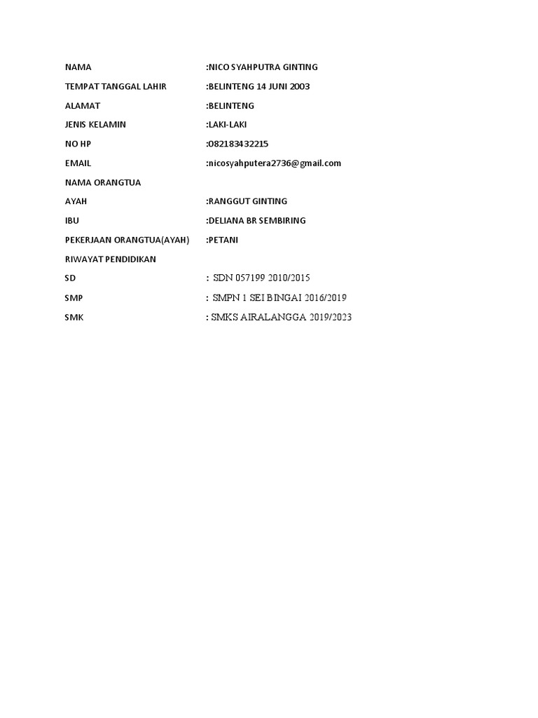 Bio Data Nico 2 | PDF