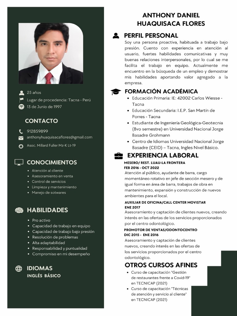 CV Anthony Daniel Huaquisaca Flores | PDF