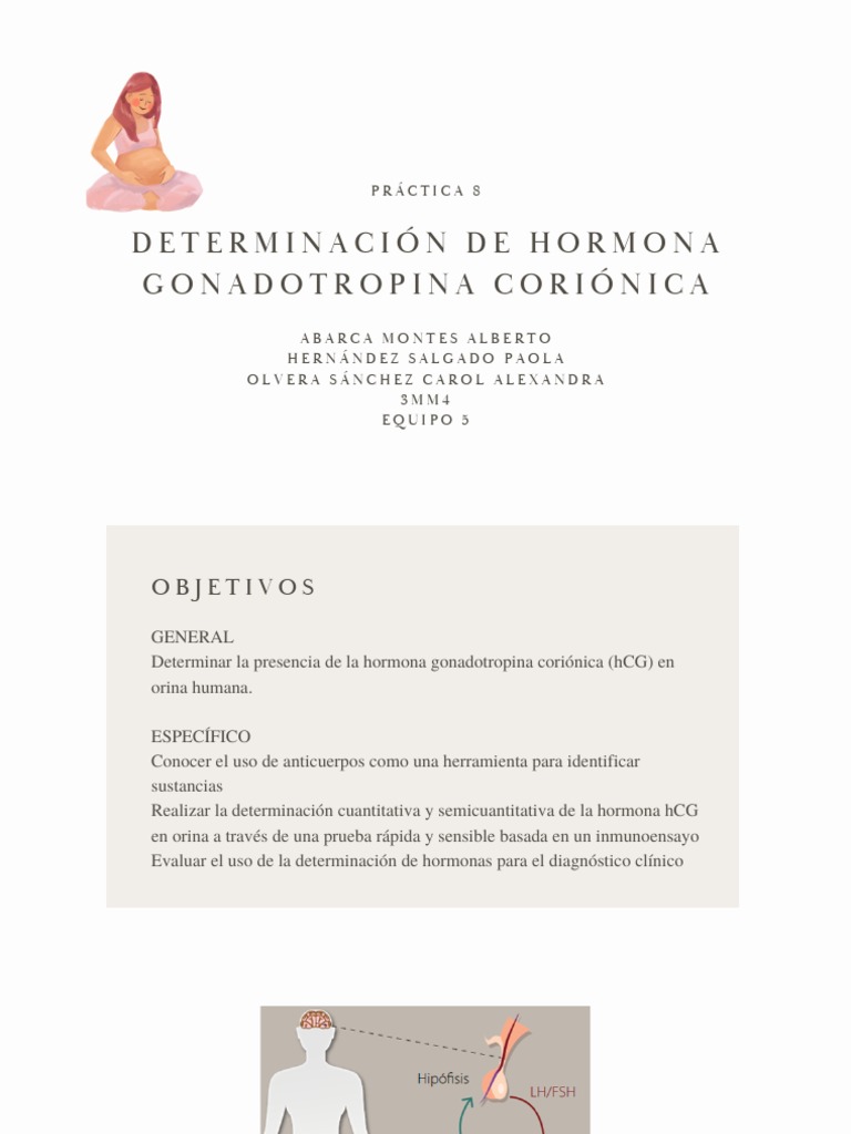 Hormona Gonadotropina Coriónica (HCG) | PDF | Gonadotropina coriónica humana | Gonadotropina
