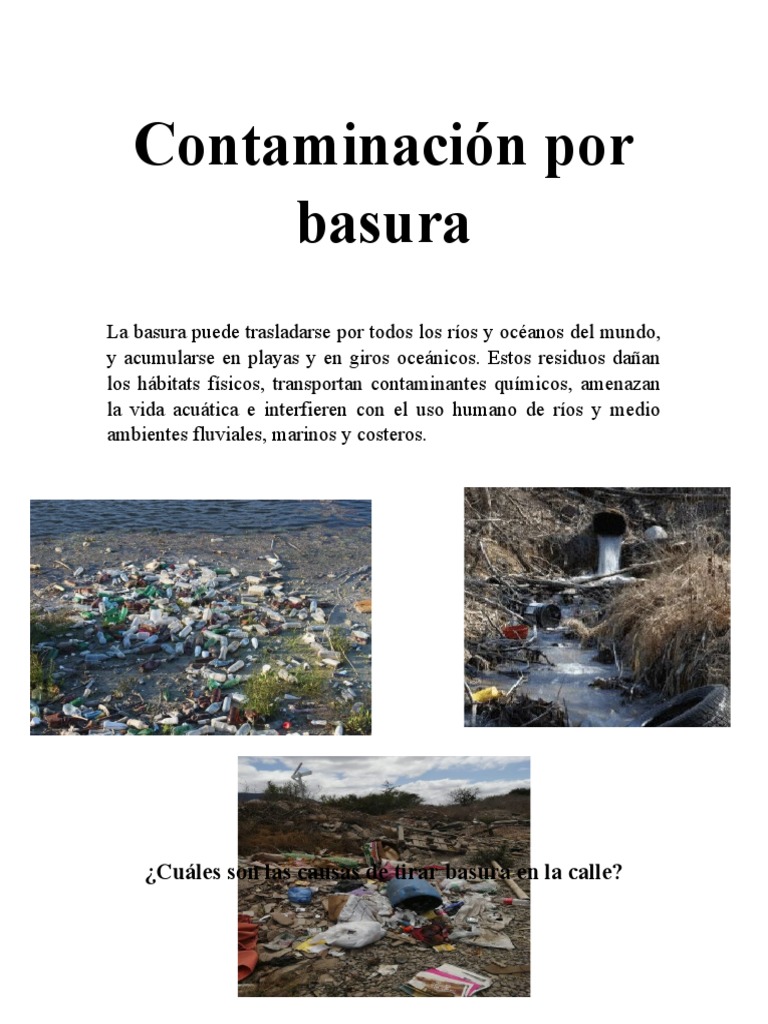 Contaminación Por Basura Angie Michelle Gomez Sacca | PDF | Ciencia y matemáticas | Tecnología