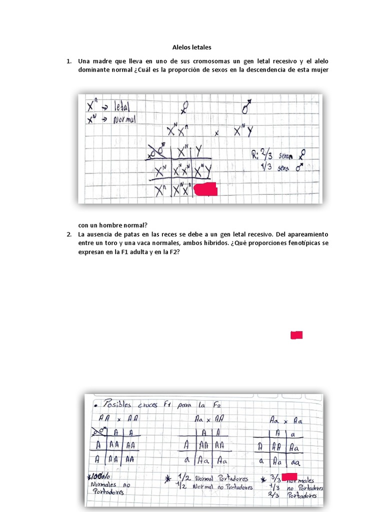 Ejercicios - Alelos Letales - Ochoa Bicharra Anthony | PDF