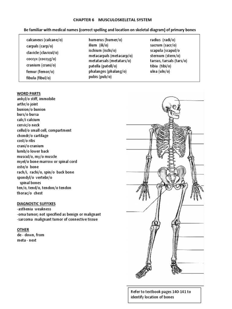 Chapter 6 Word Parts CN | PDF