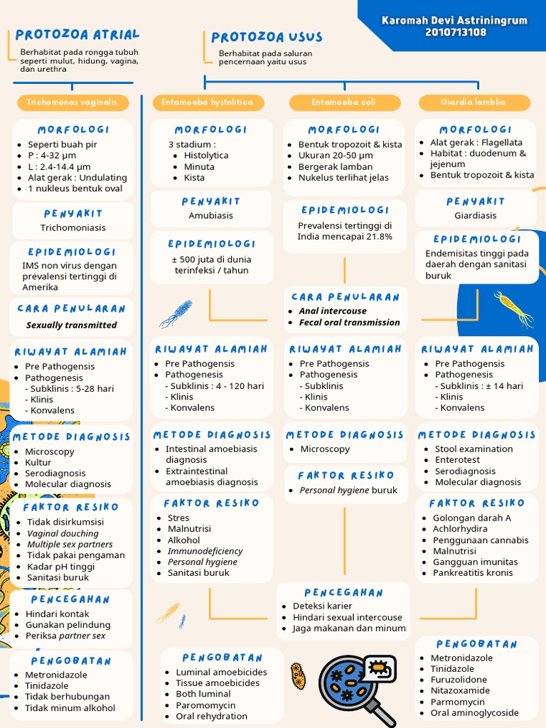 Morfologi dan Penyakit Protozoa Infeksius | PDF