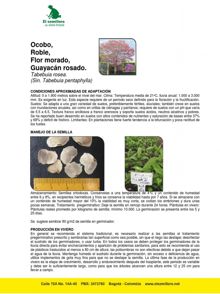 Ocobo | PDF | Madera | Semilla