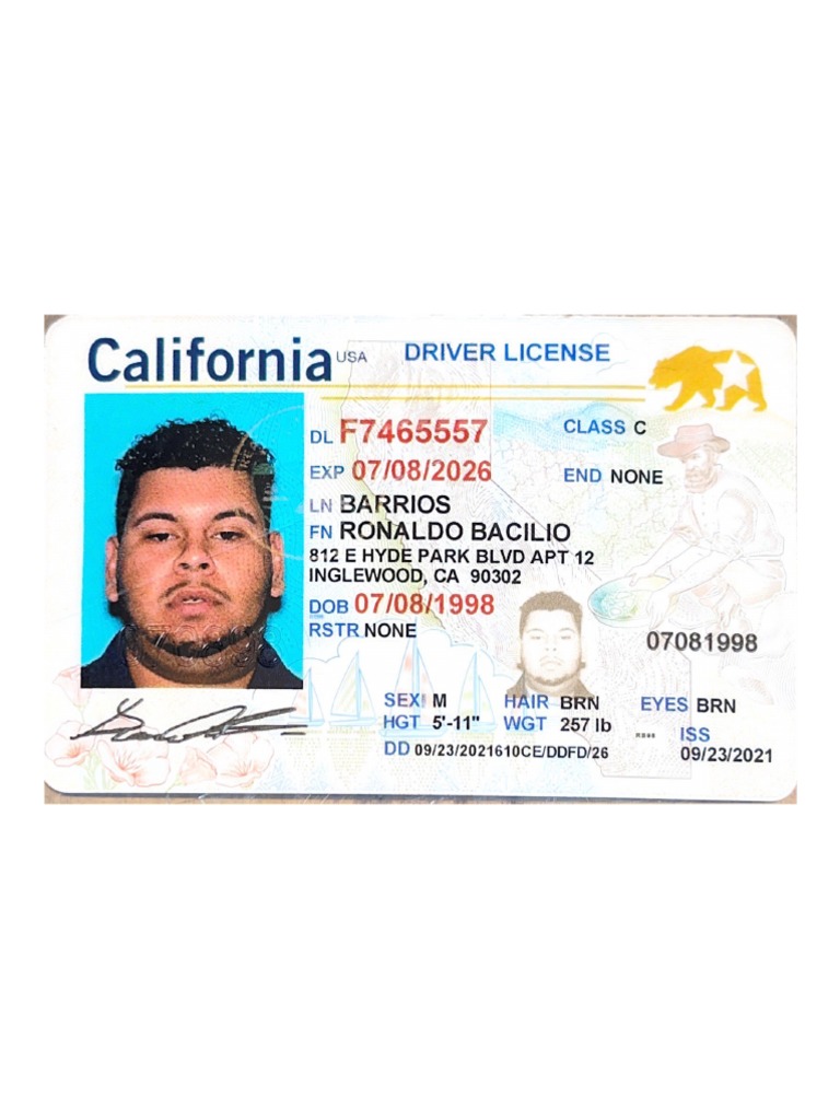 Driver License | PDF