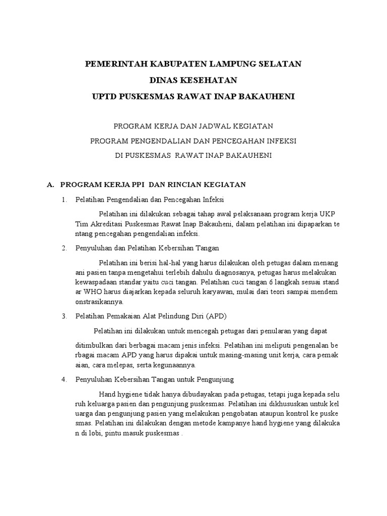 Program Kerja Dan Jadwal Kegiatan Ppi Puskesmas Ketapang | PDF